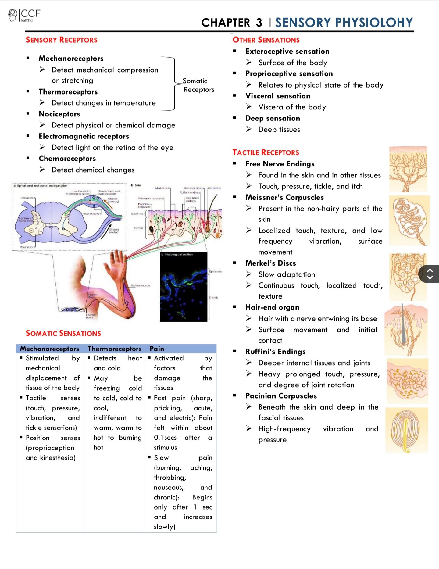 Sensory Physiology