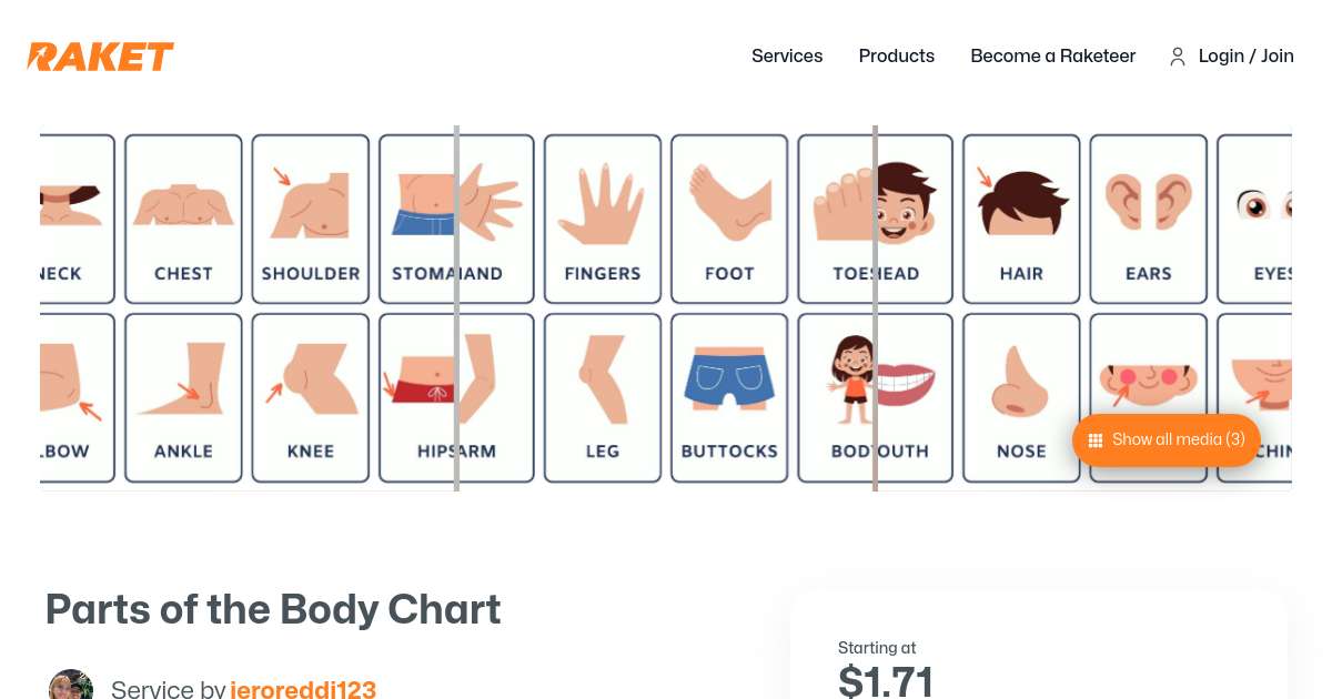 Parts of the Body Chart by jeroreddi123 - Raket.PH