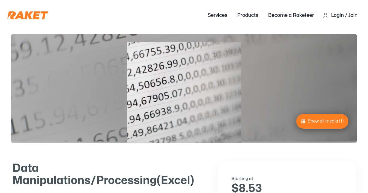 Data Manipulations/Processing(Excel) by capatco - Raket.PH