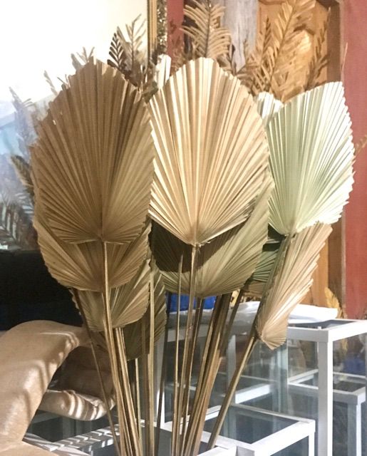 Anahaw Products Philippines