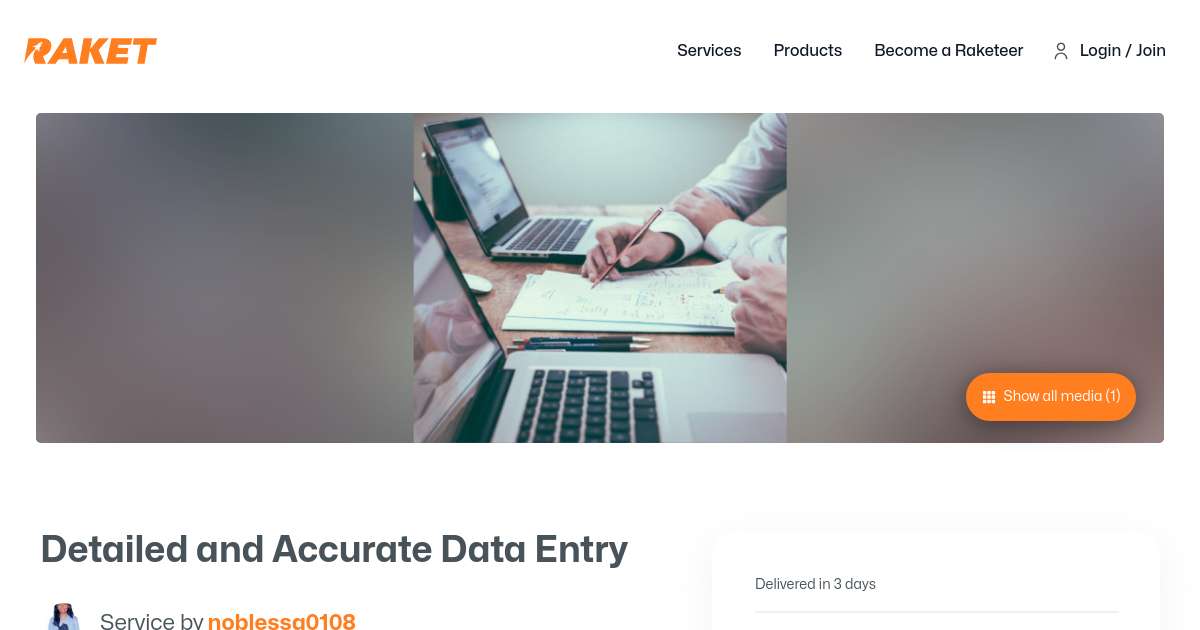 Detailed and Accurate Data Entry by noblessa0108 - Raket.PH