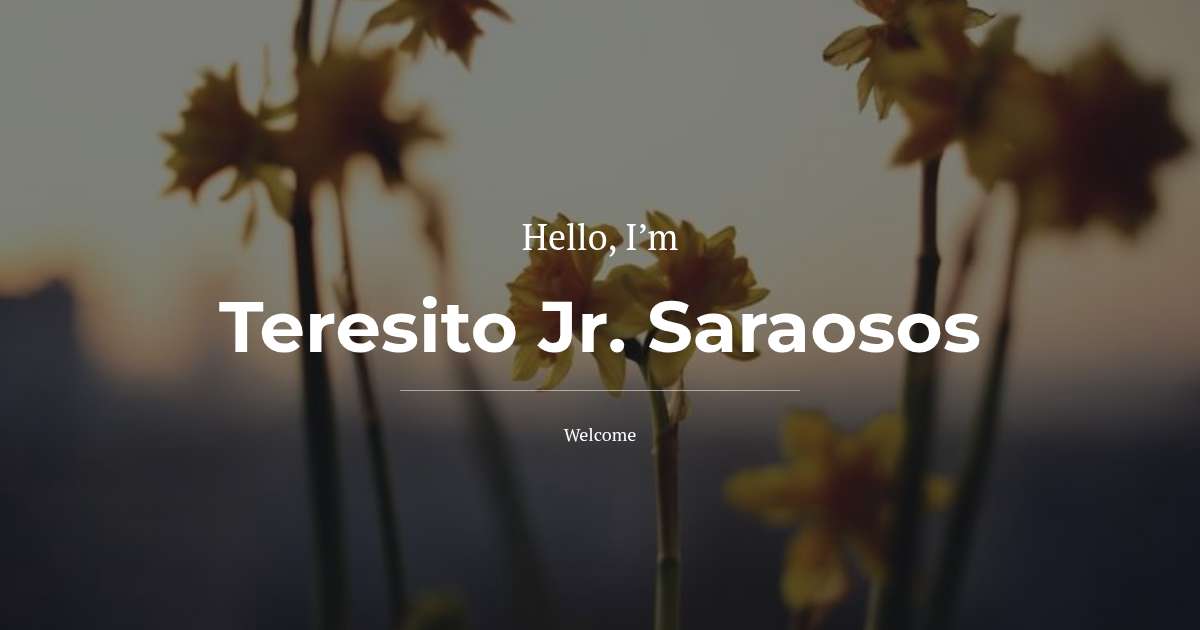 Teresito Jr. Saraosos