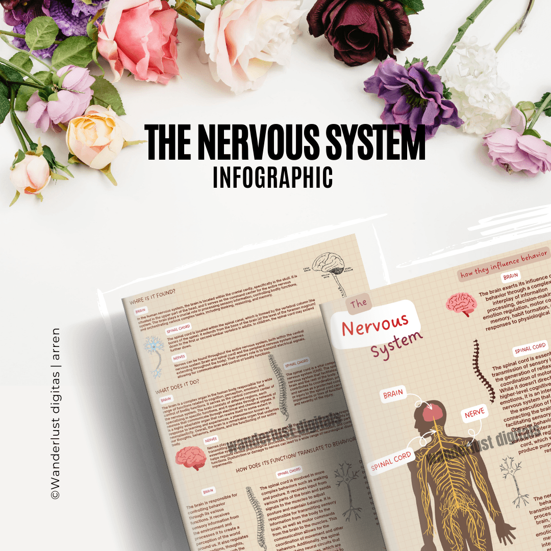 nervous system infographic example
