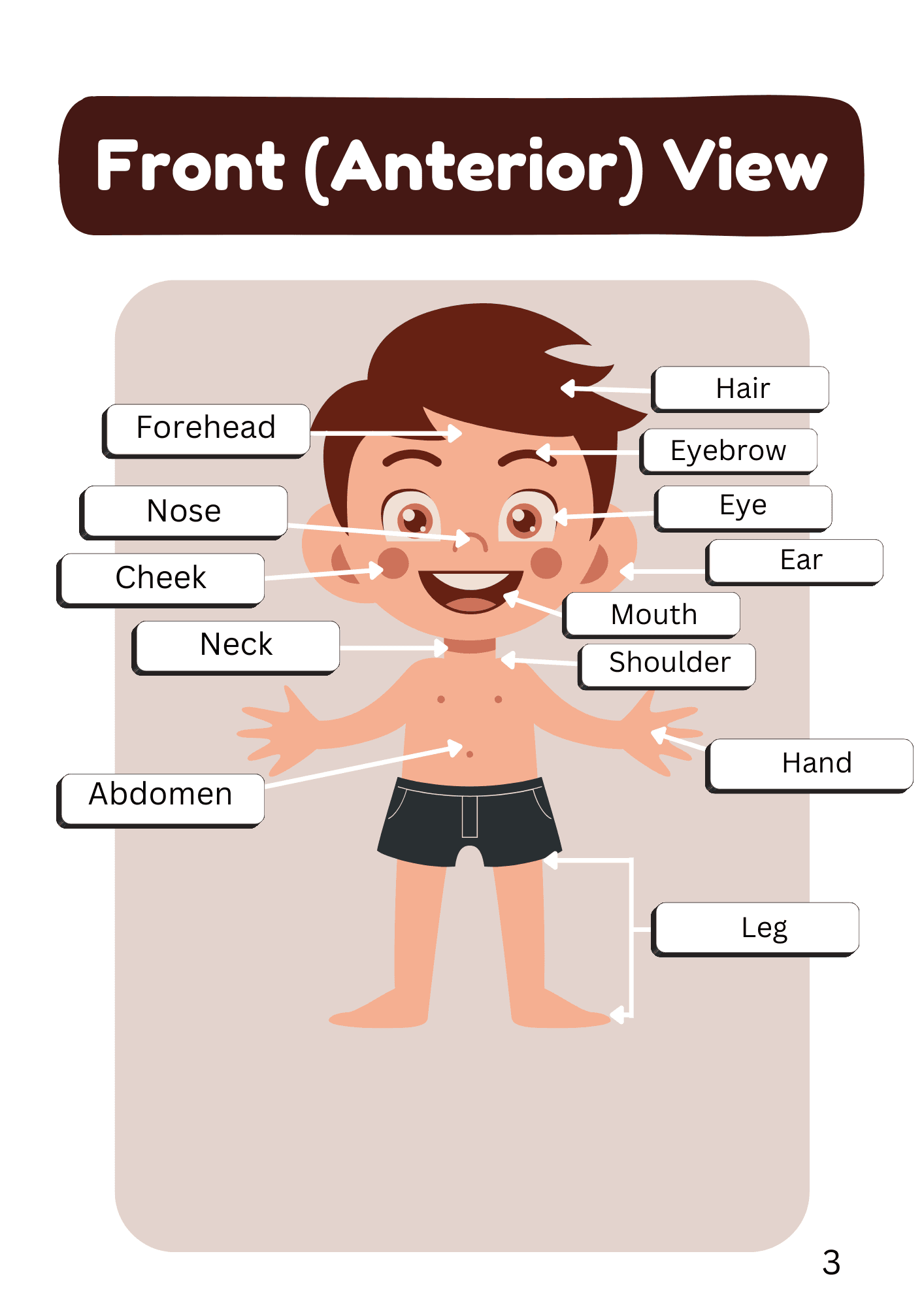 Parts Of Human Body For Kids - Infoupdate.org