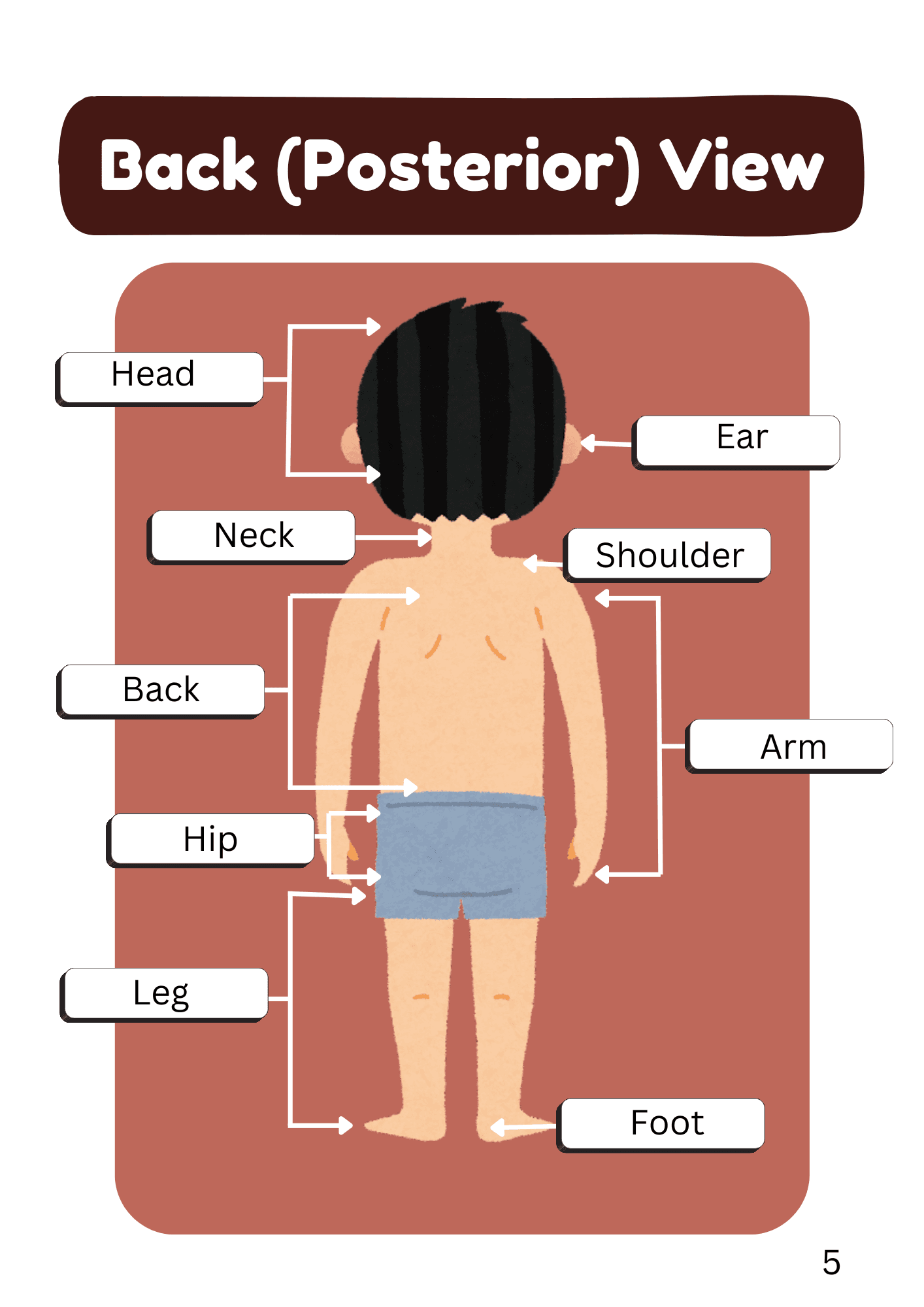 Parts Of Human Body For Kids - Infoupdate.org