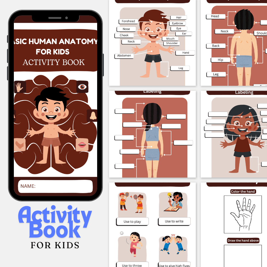 Human Body Parts Images For Kids - Infoupdate.org