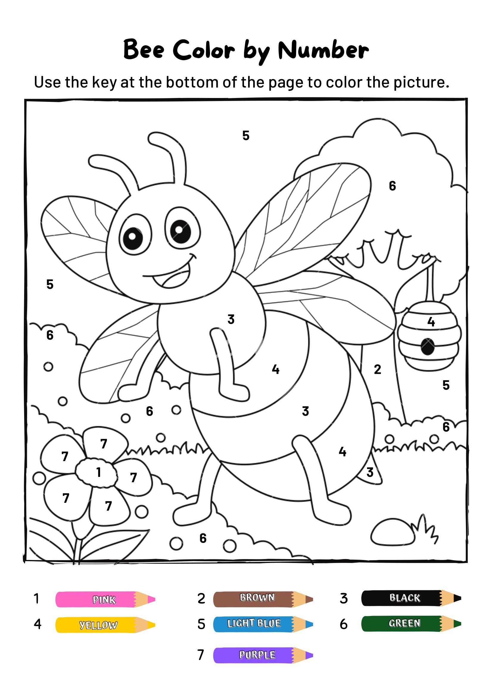 activity coloring sheet