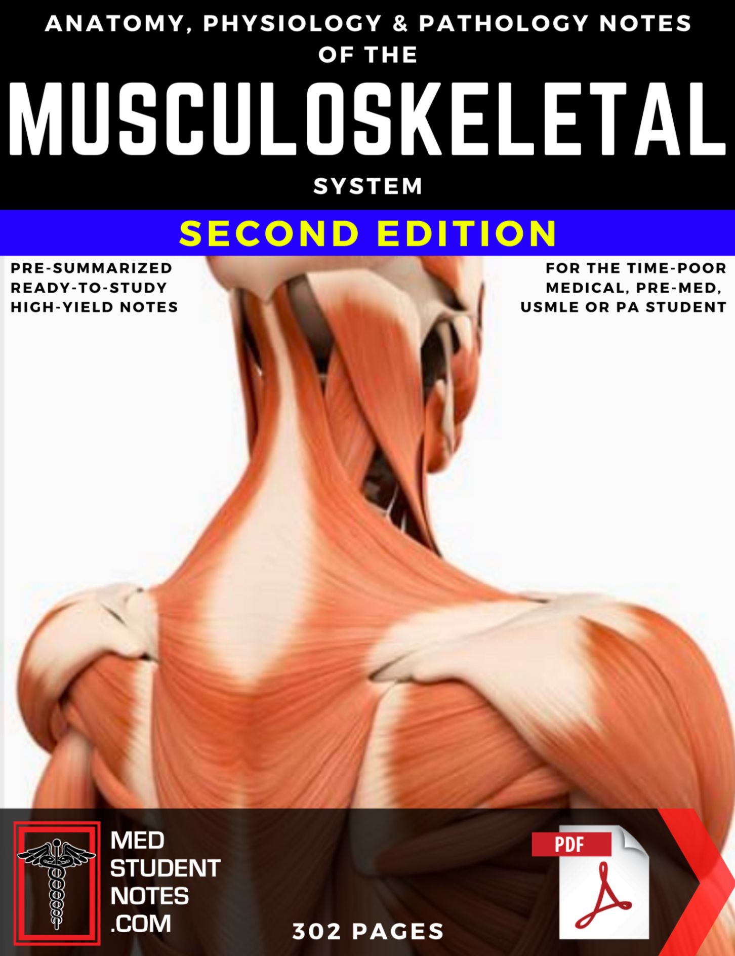 Printable Anatomy And Physiology Notes
