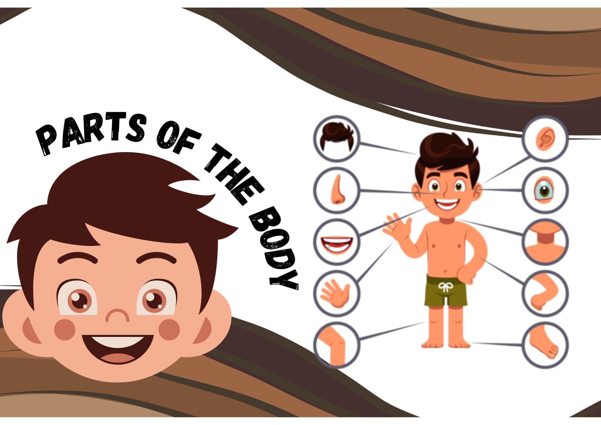 Body Part Images For Kids Body Parts Flashcards For Kids Body Parts
