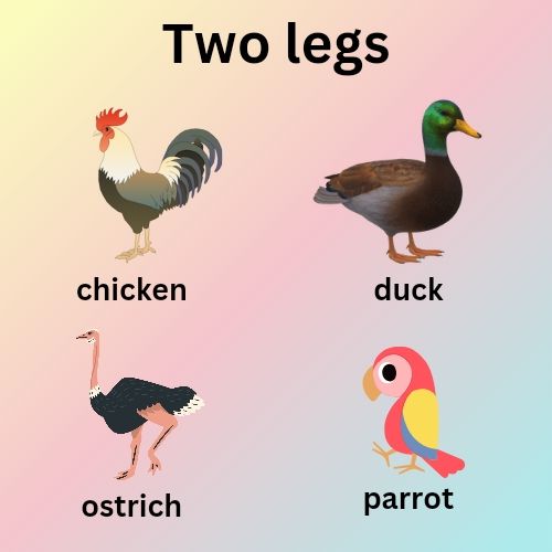 two legged animals