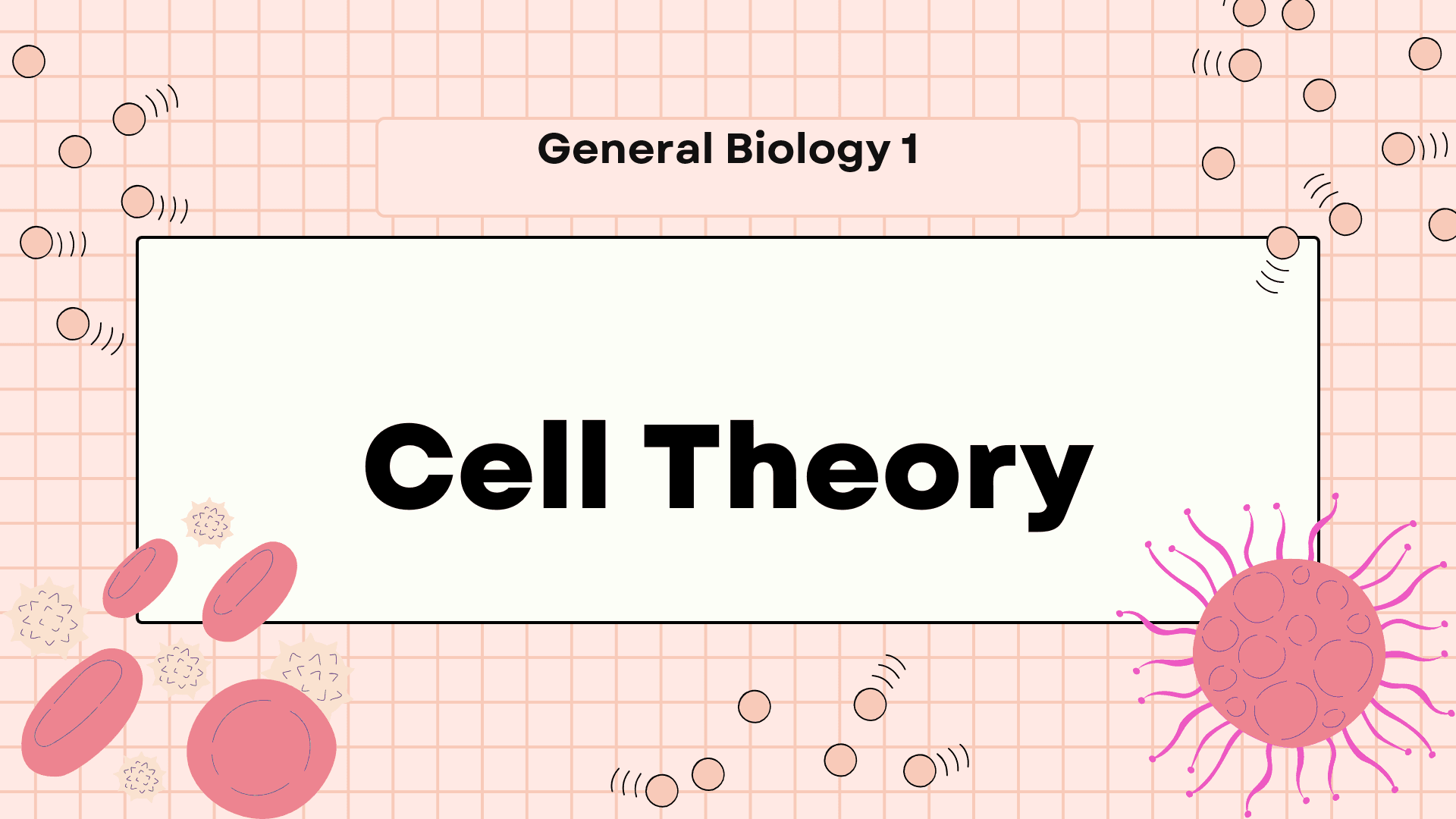 What Is Cell Ppt - Infoupdate.org