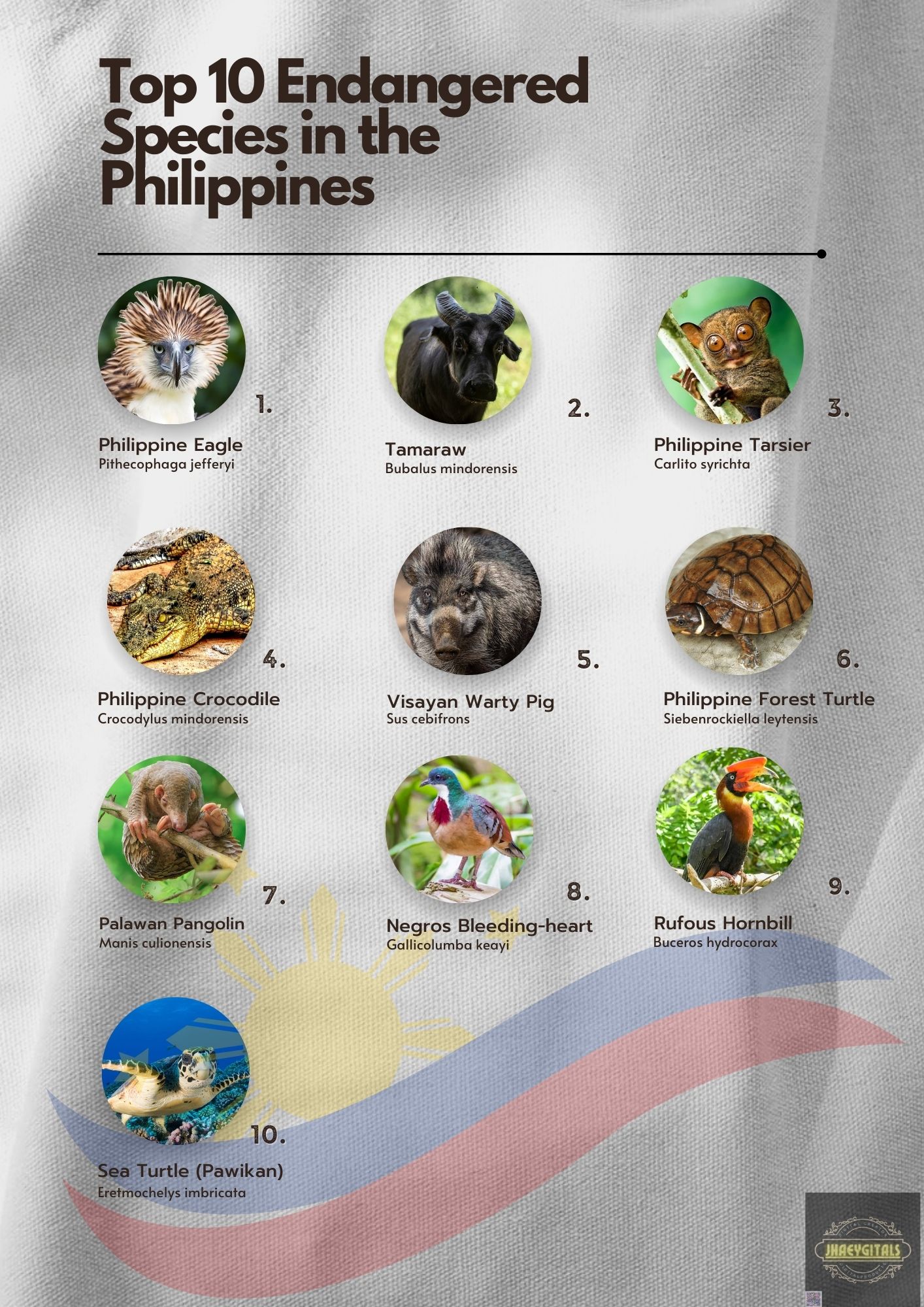 Endangered S Pictures And Names - Infoupdate.org