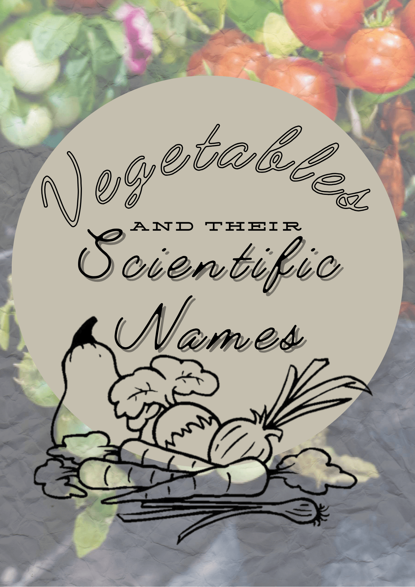 Scientific Names Of Vegetables