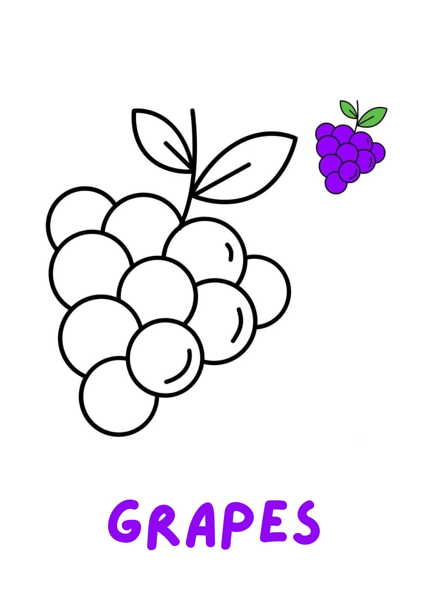 simple fruit coloring pages