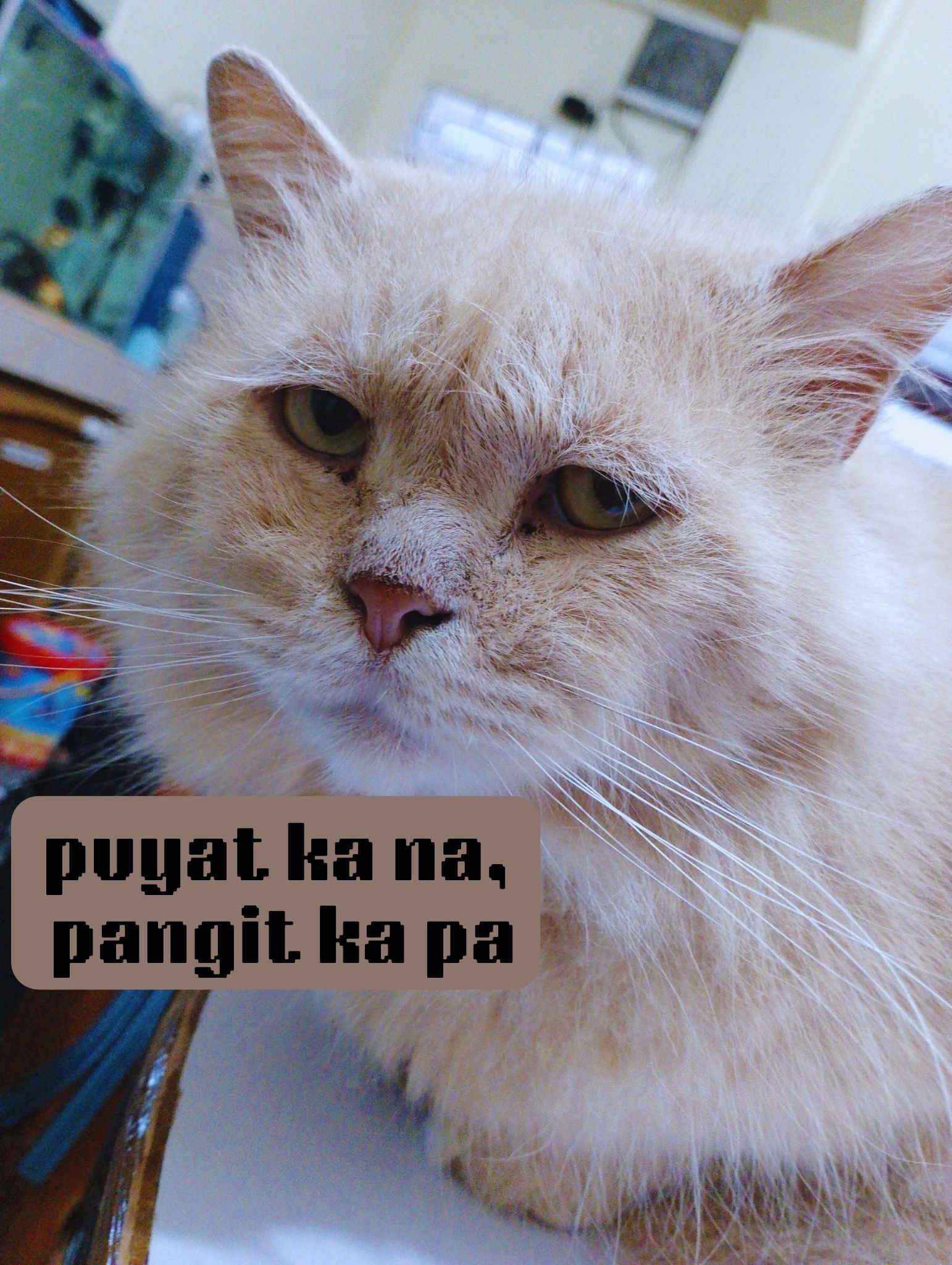 Ang Pangit Naman Memes Usapang Zodiac Sign🤣