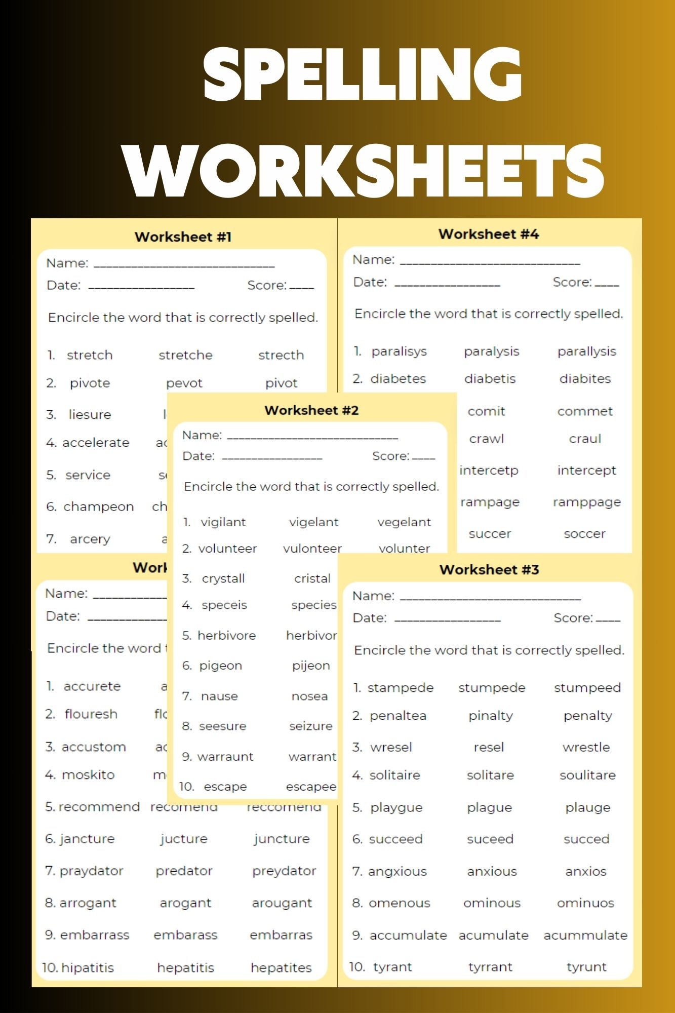 7th Grade Spelling Words Worksheets