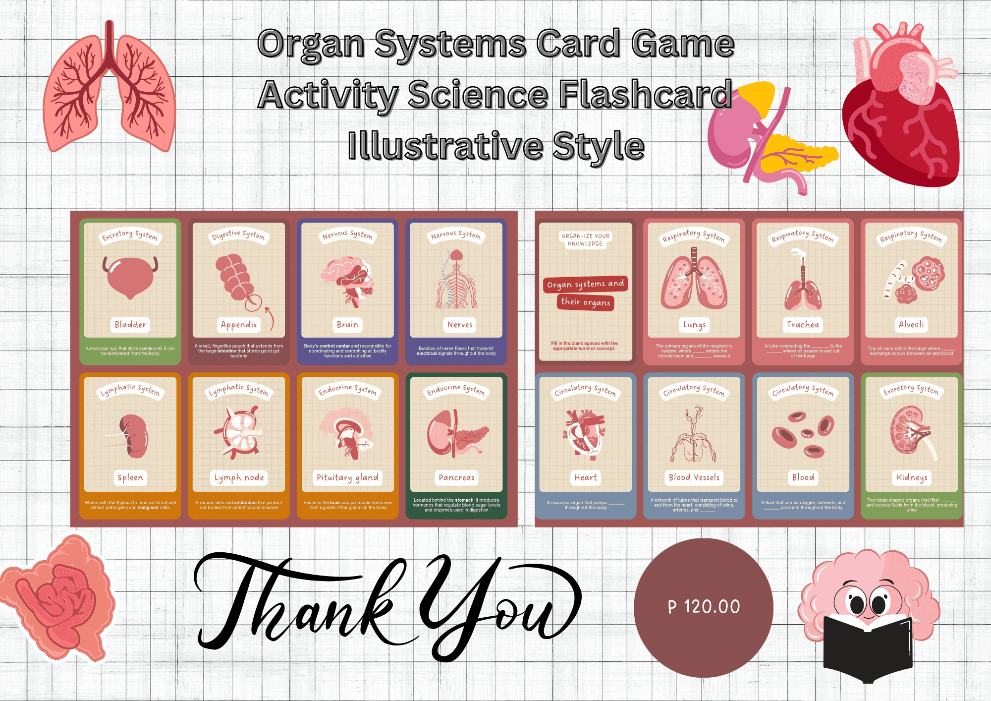 Body Systems Flashcards