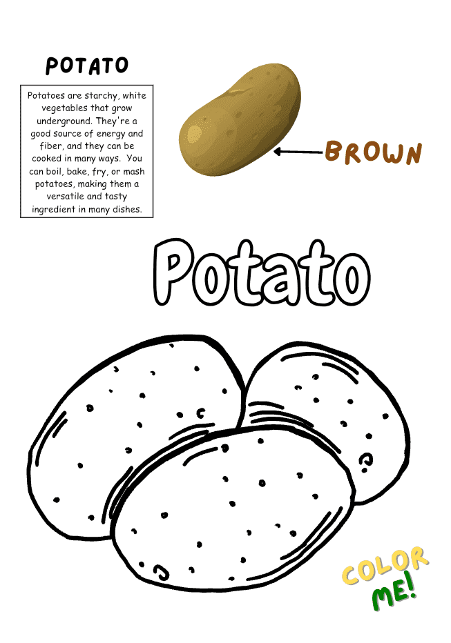 Potatoes Coloring Book Vegetables