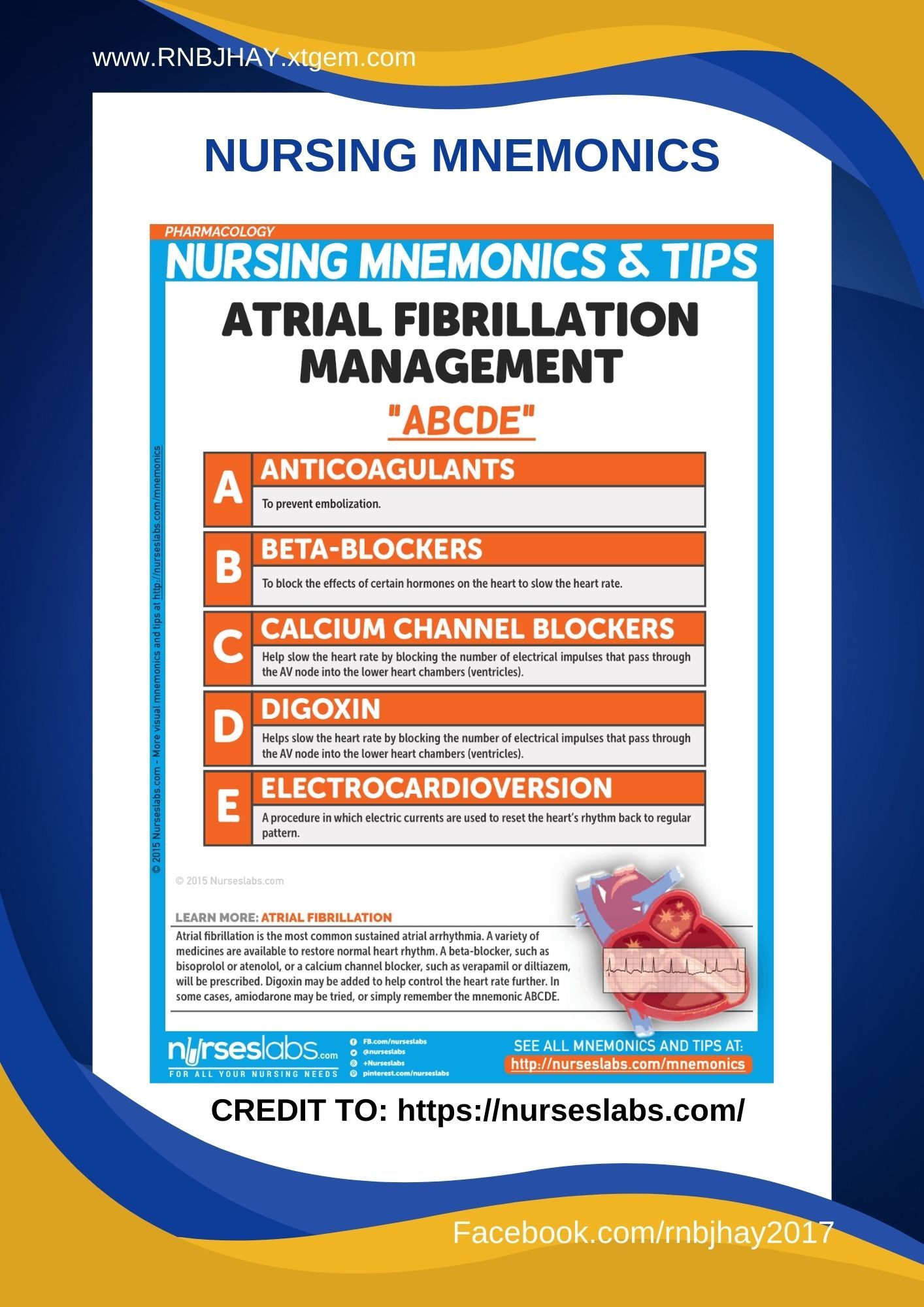 Anatomy And Physiology Nursing Mnemonics Tips Nursing Mnemonics