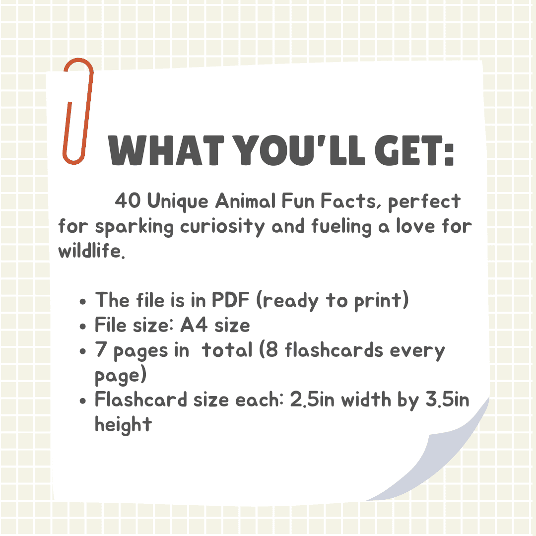 Free Animal Facts Printable Flashcards Or Posters