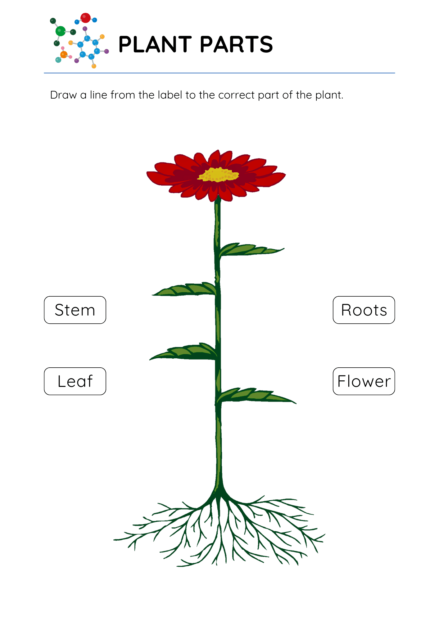 Label A Plant Worksheet Plant Cell Charts And Worksheets Your Home