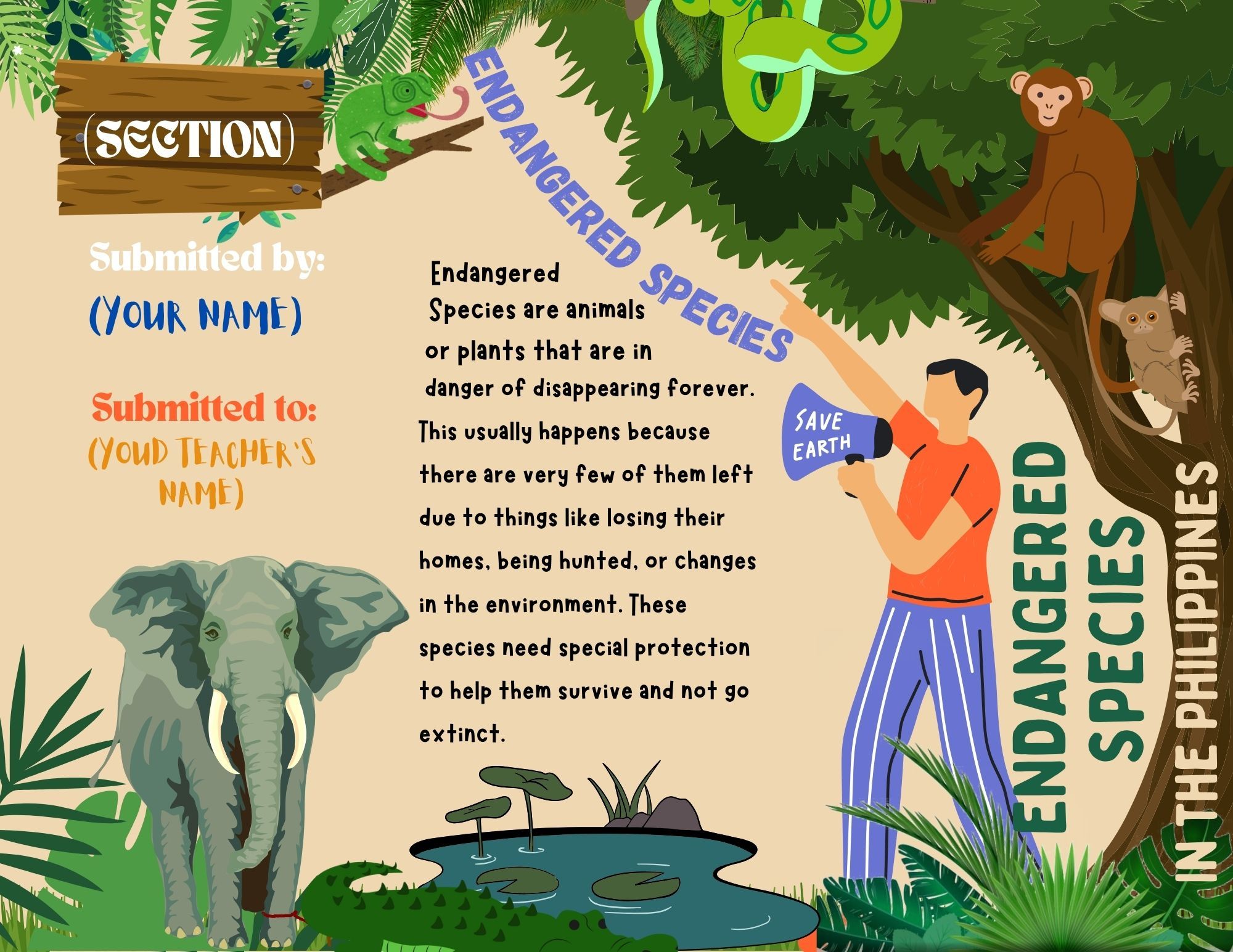 Endangered Species Leaflet