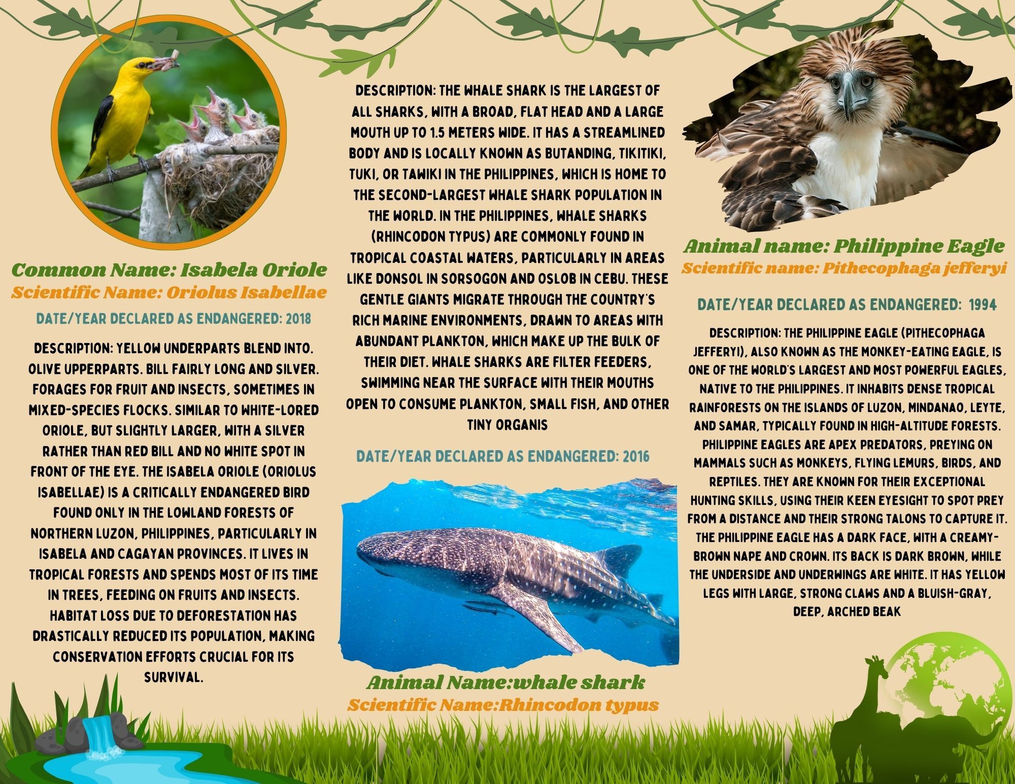 Endangered Species Leaflet