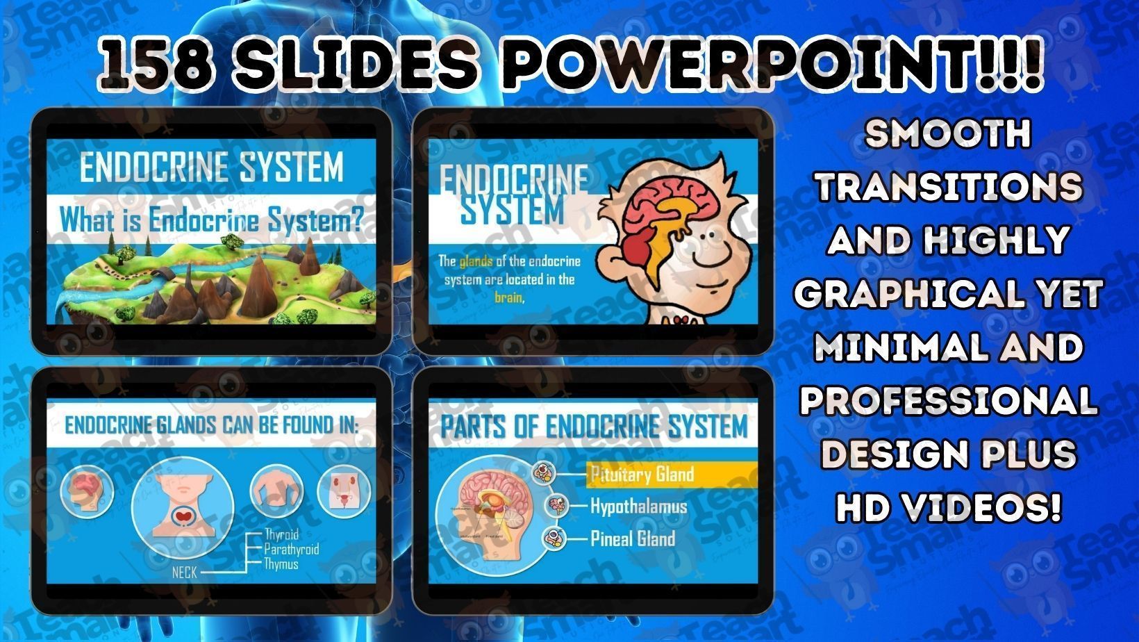 Ppt The Endocrine System General Functions Of Hormones Powerpoint