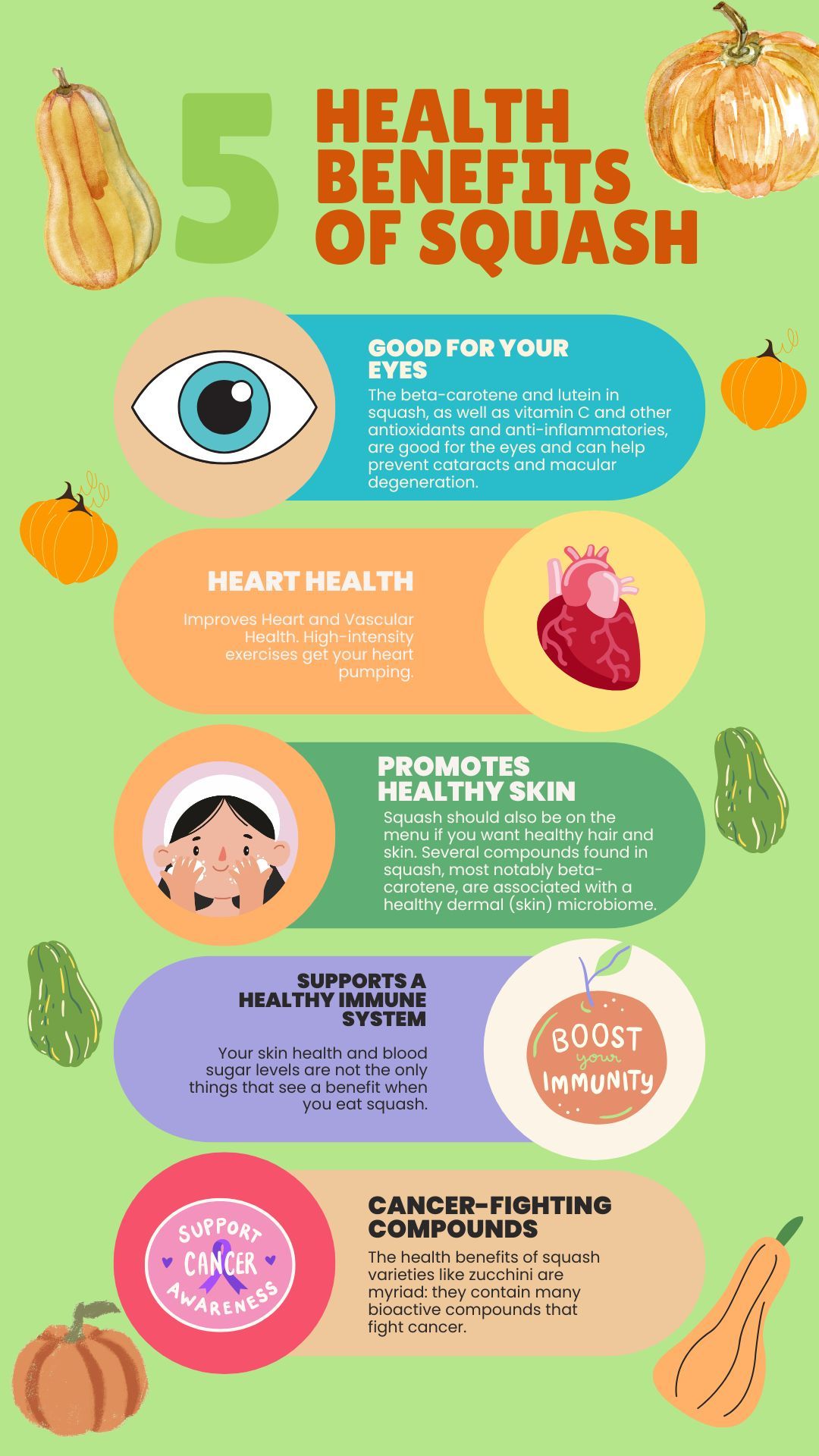 squash vegetable benefits