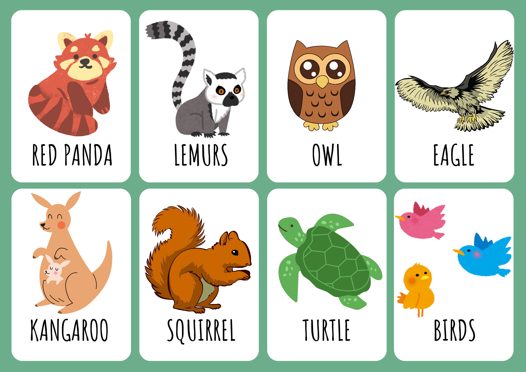 Birds Cards For Word Wall Animal Flashcards English