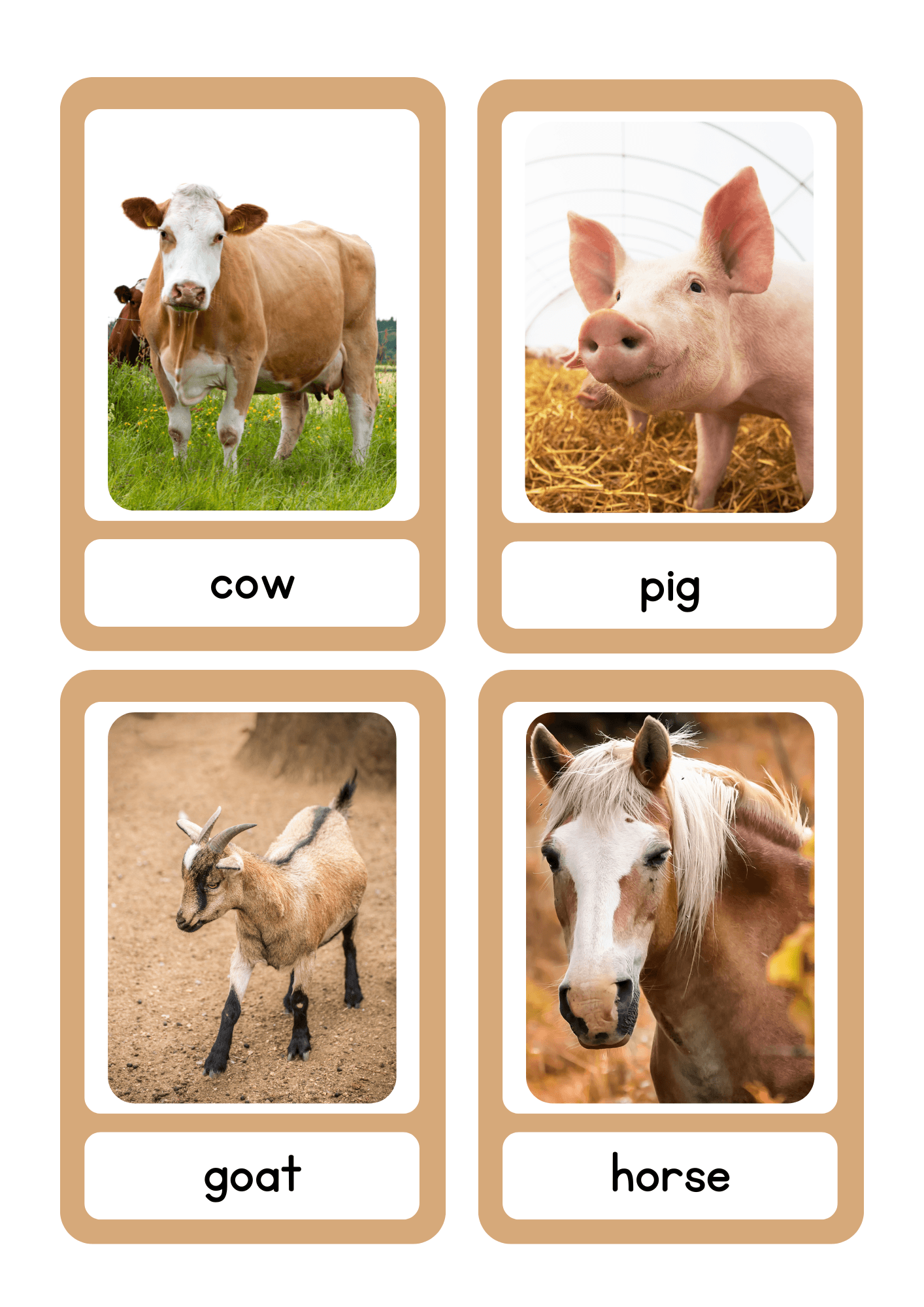 Farm Animals Vocabulary For Coloring Farm Animals Vocabulary Worksheet