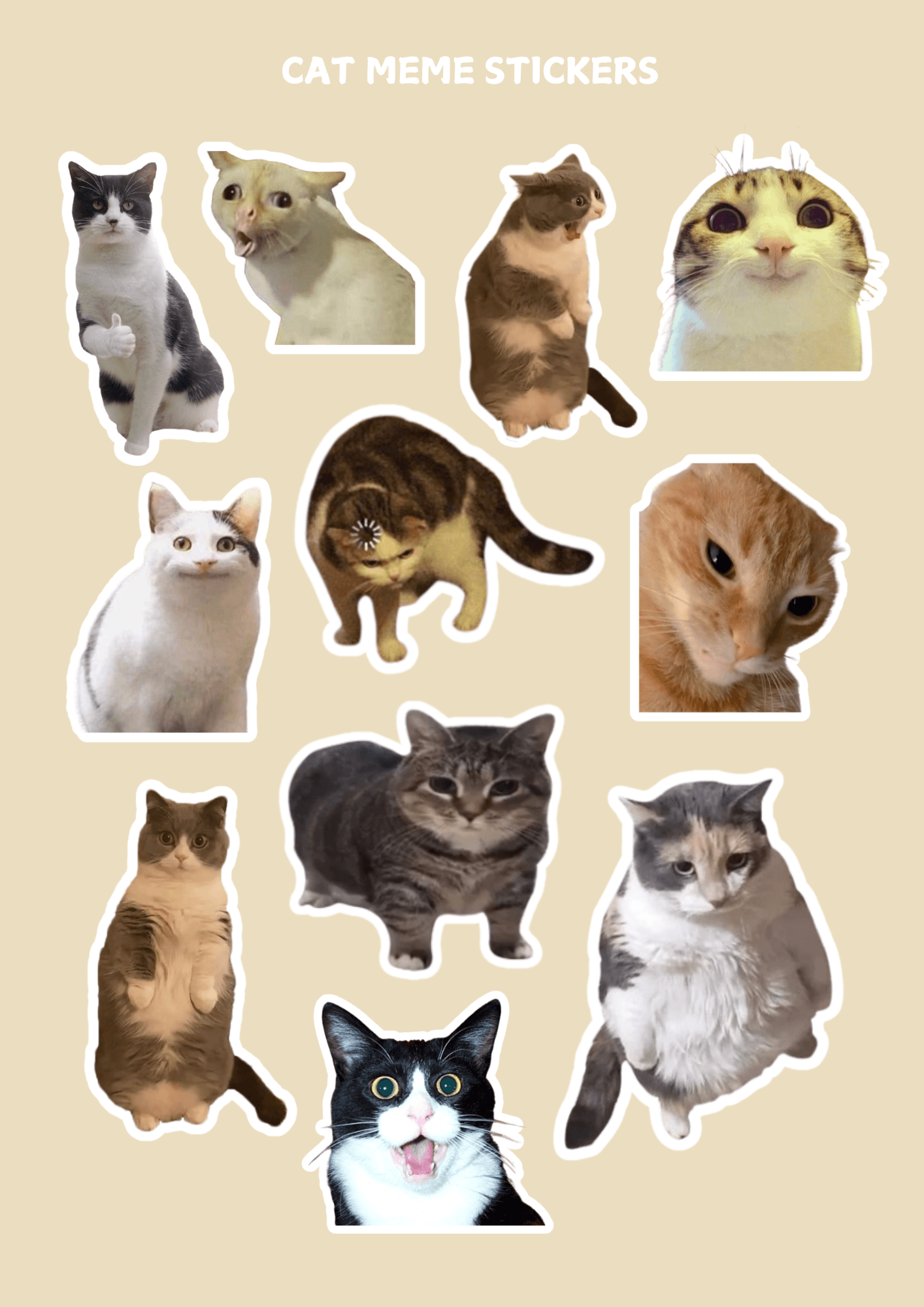 Printable Cat Memes 100 Funniest Cat Memes Ever