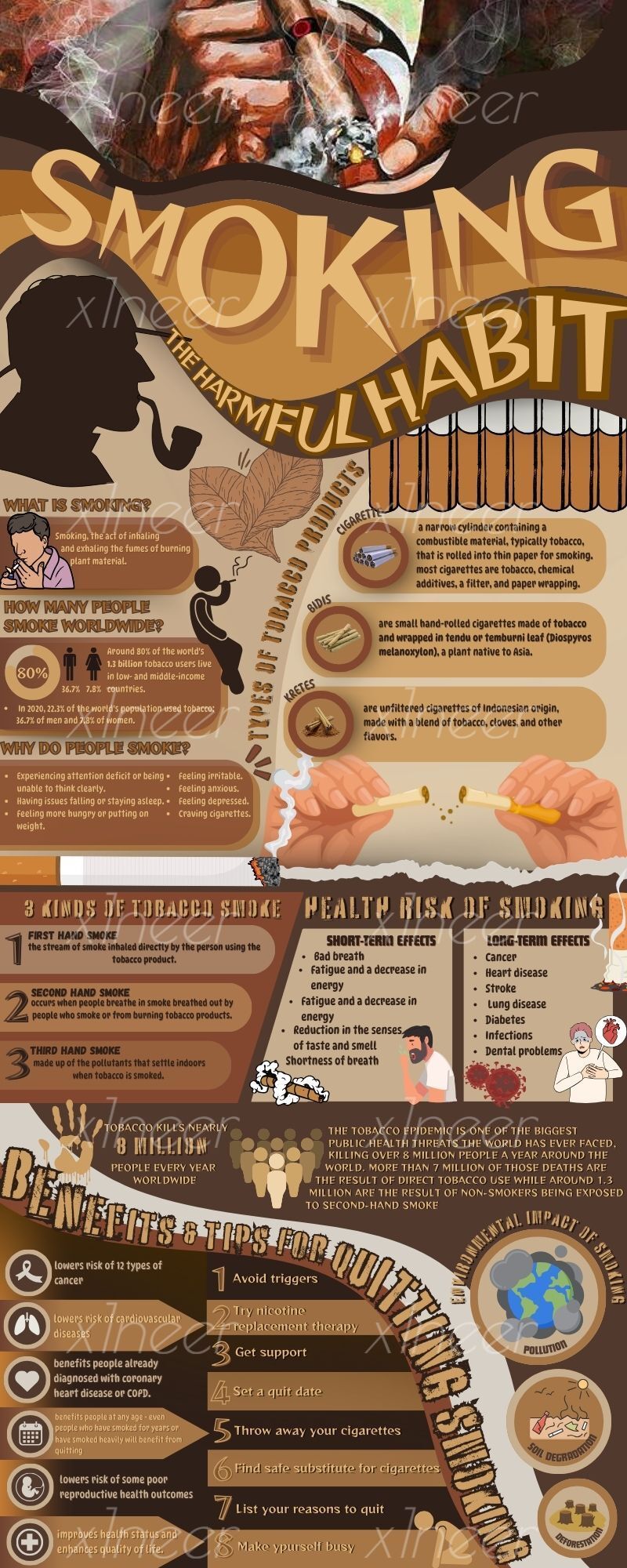 Smoking Infographic