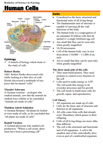 Anatomy And Physiology Chapter 3 Cells Worksheet Cells Tissues