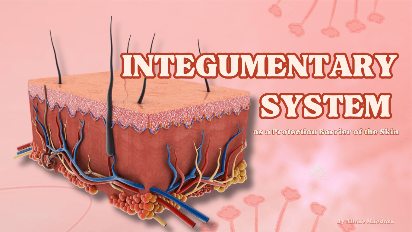 Ppt Unit 5 The Integumentary System Powerpoint