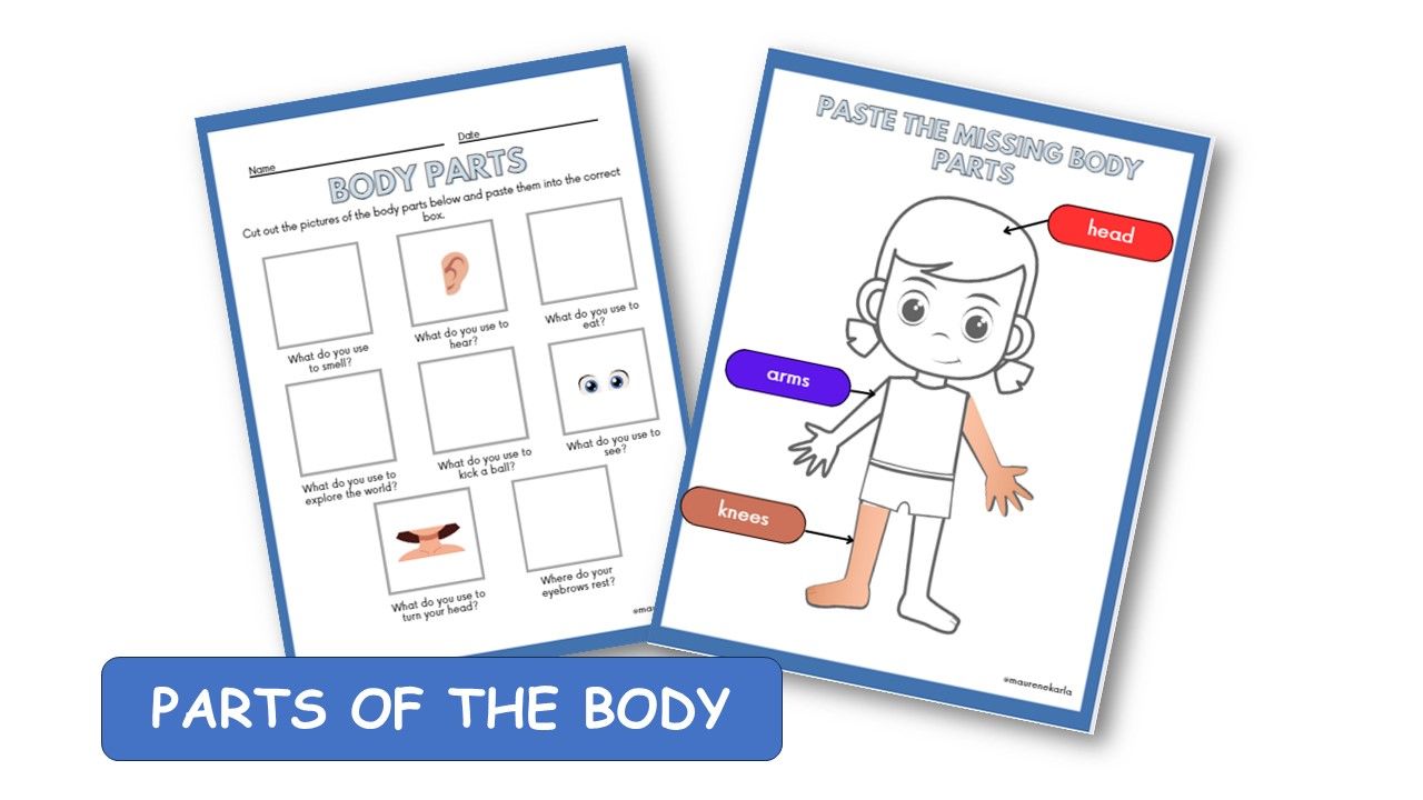 Cut And Paste Body Parts Worksheet My Body | Preschoolearn.com
