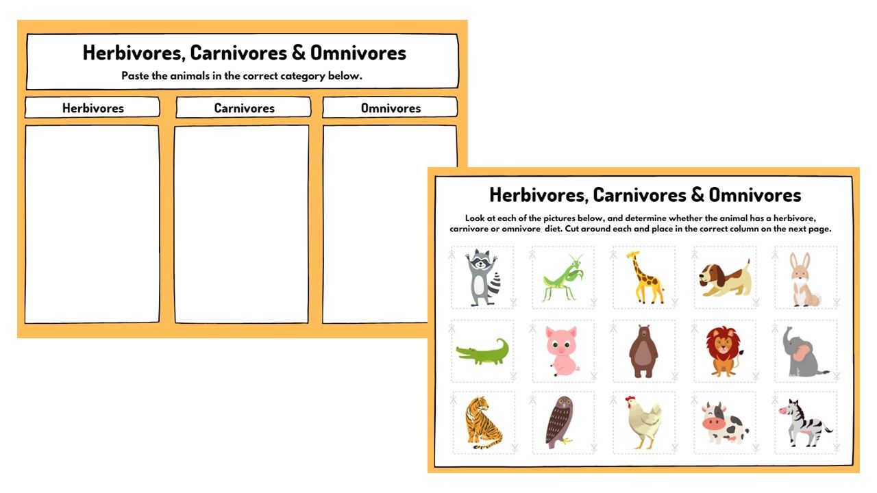 Carnivore Herbivore Omnivore Worksheet Herbivores, Carnivores, And