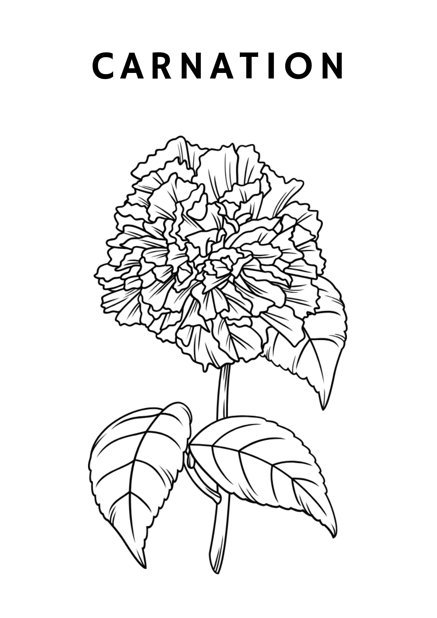 Philippines Flower Coloring Pages
