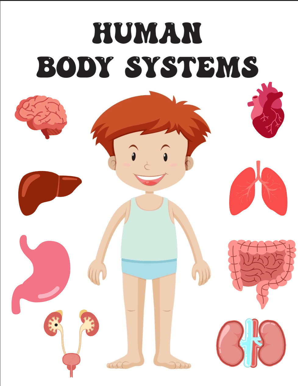 Human Body Coloring Book Human Body Systems Human Body