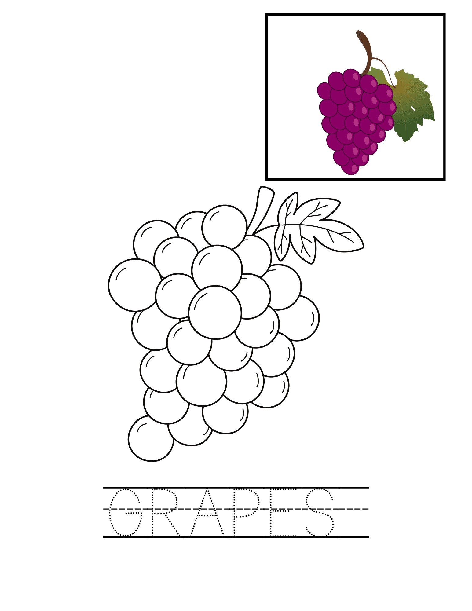 purple grapes coloring pages