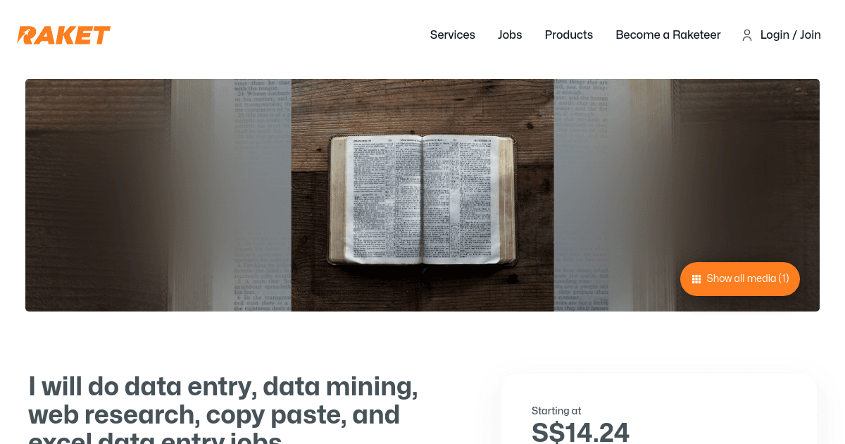 I will do data entry, data mining, web research, copy paste, and excel ...