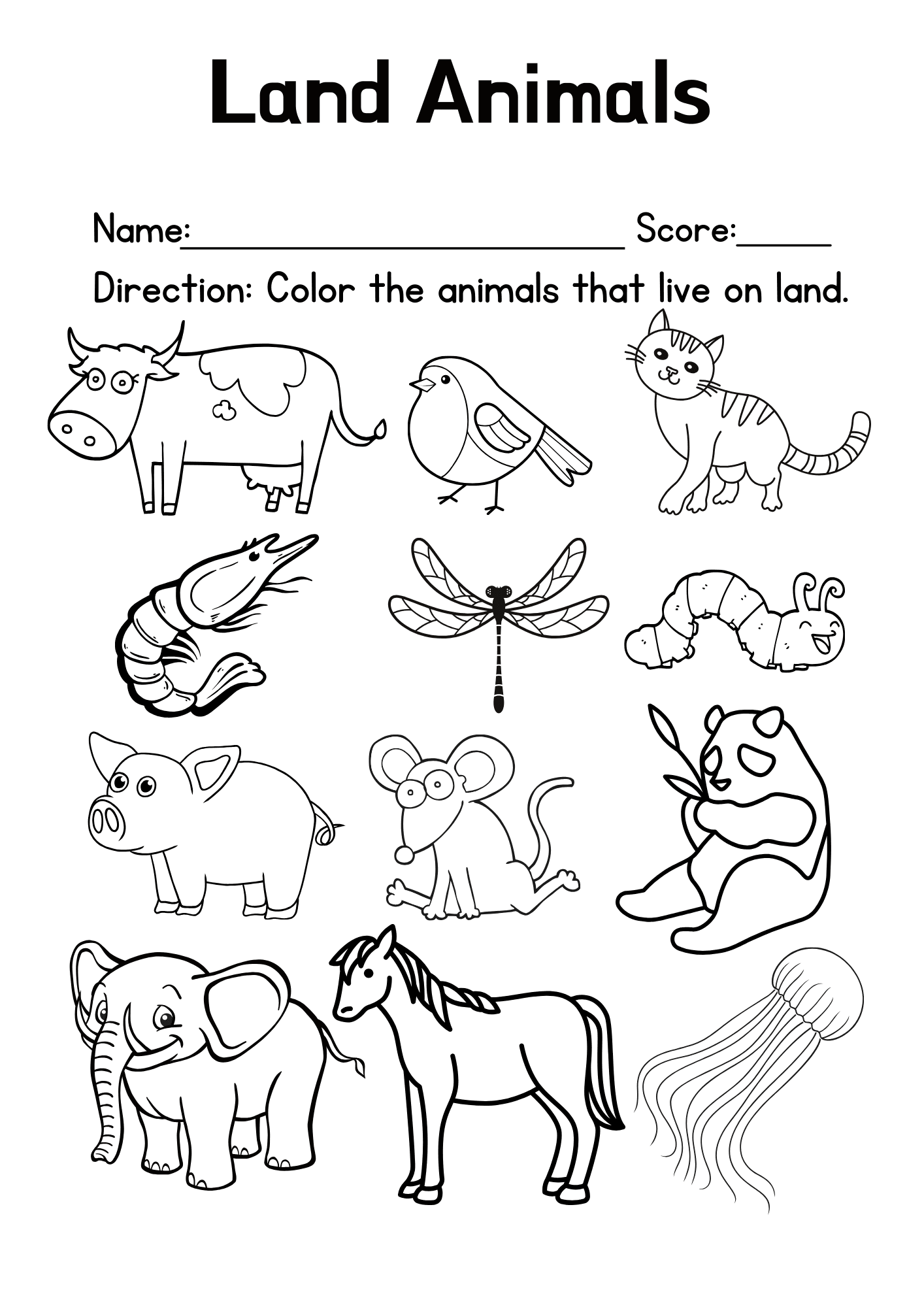 Land And Water Animals Worksheet For Kindergarten