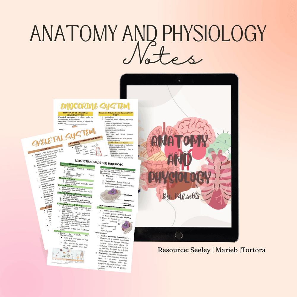 Basic Anatomy And Physiology Notes