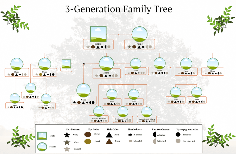 3 Generation Family Tree Template Family Tree Template: Family Tree
