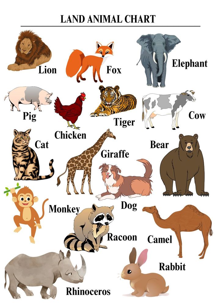 Land Animals Clip Art