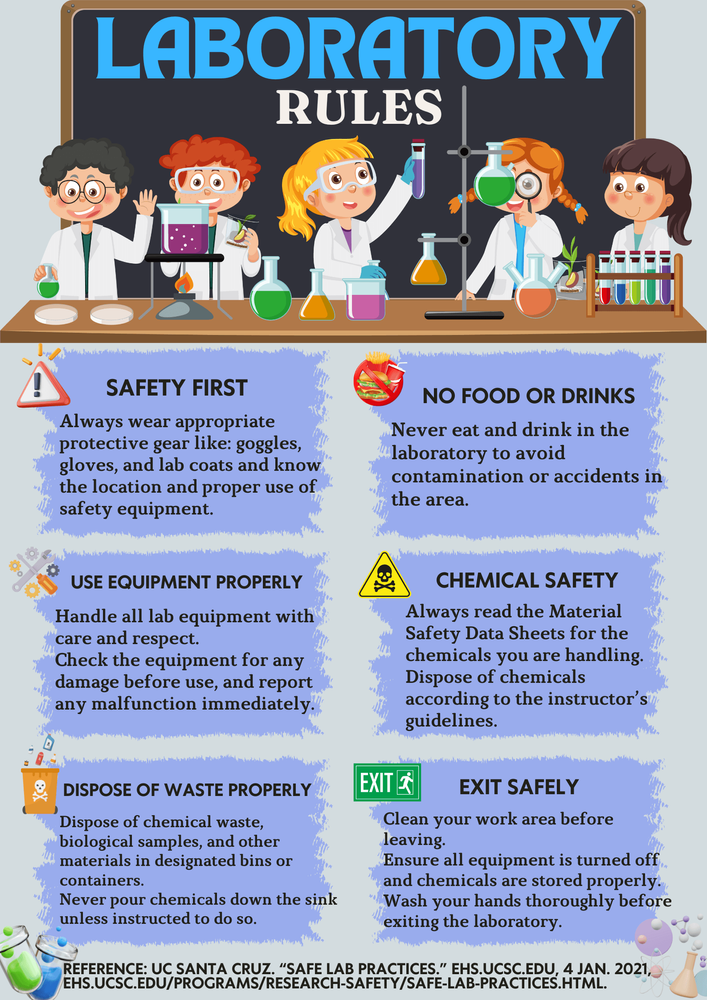 Infographic Lab Safety Rules Lab Safety Rules Science