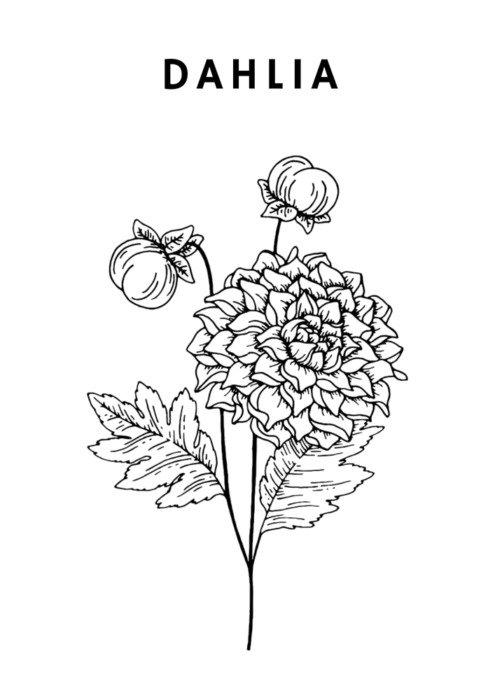 Philippines Flower Coloring Pages