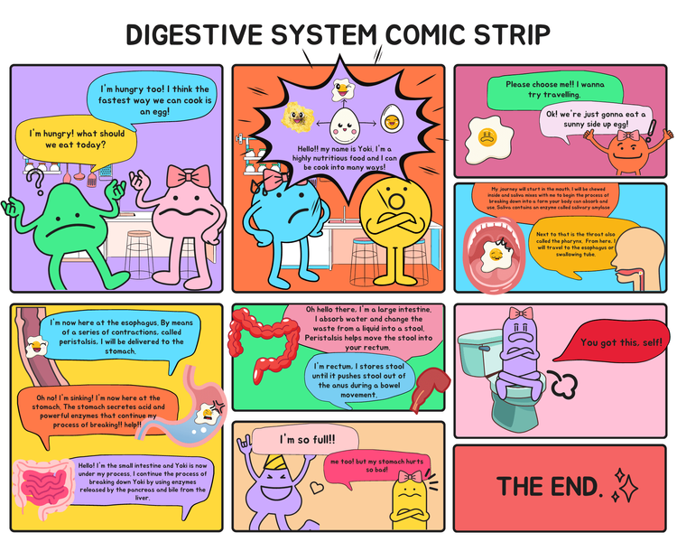 Digestive System Cartoon Strip