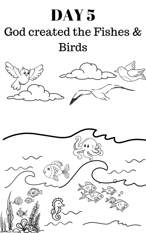 Day Five Creation Coloring Page