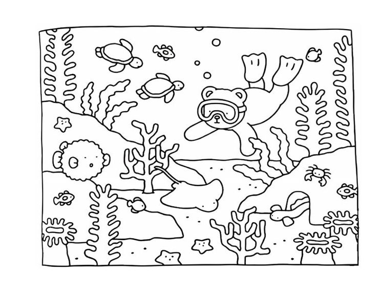 coloring pages of boobies